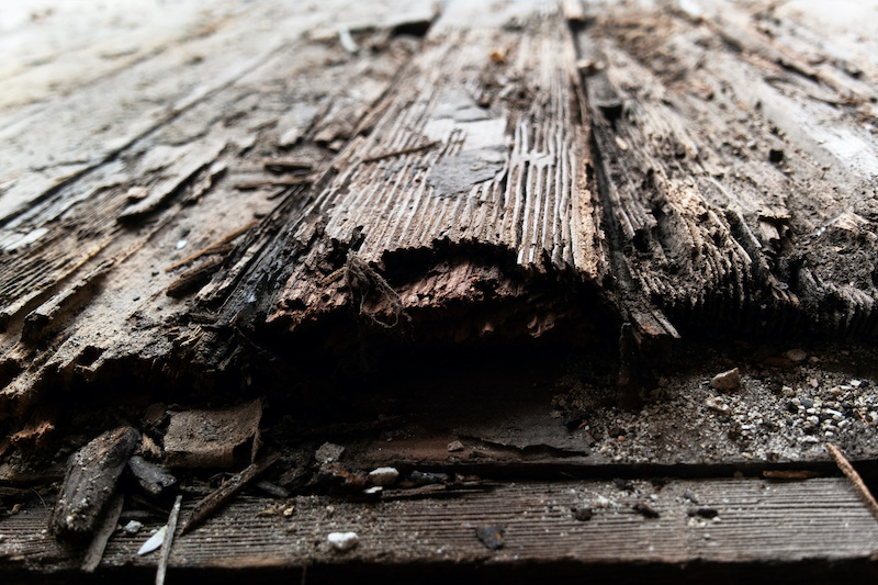 Wood Rot Repair - River to River Log Homes